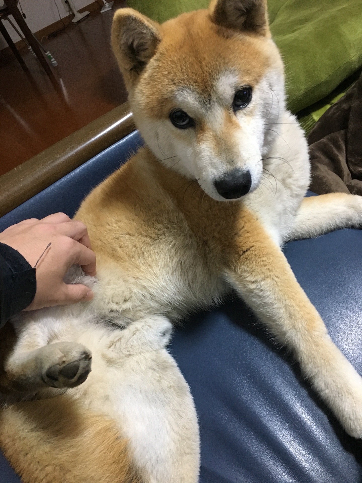 すきゃ | 好きでつながるバーチャルワールドYay!（イェイ）